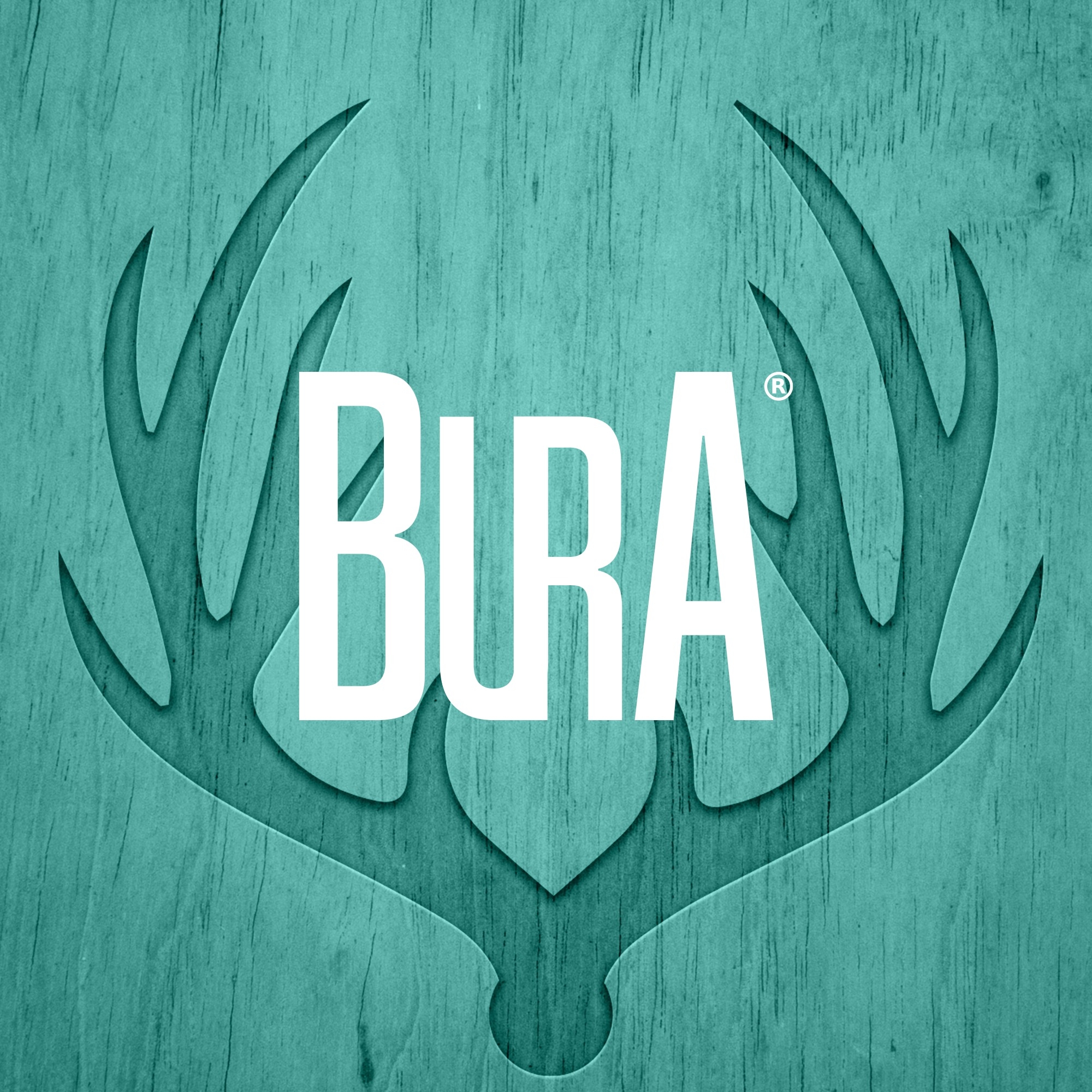 Bura Sotol: Espíritu del Desierto Chihuahuense